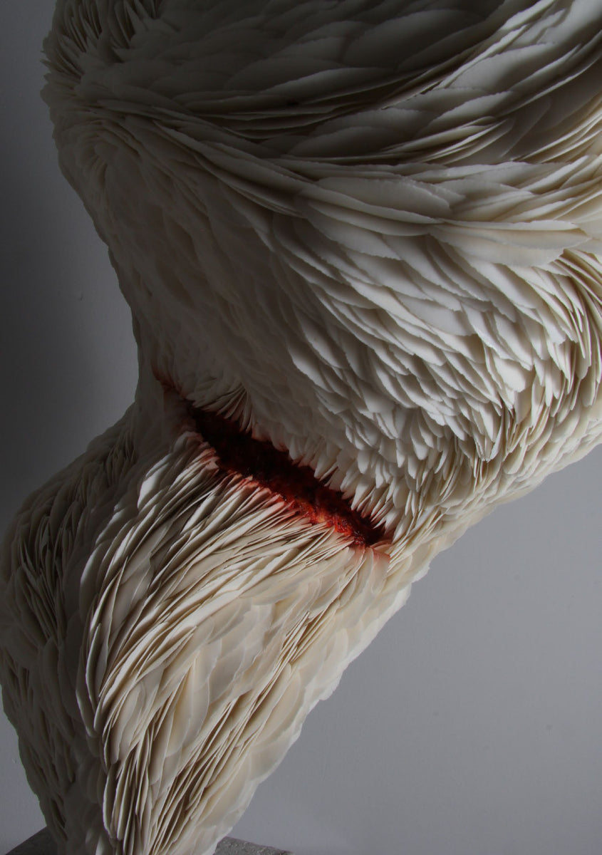 Shrapnel Wound – muse