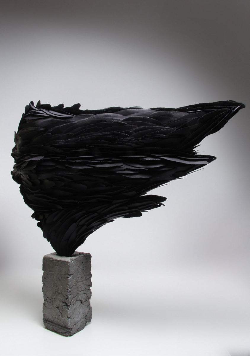 Black Bird – muse